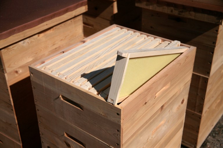 Anatomy of a beehive | Bee Rancher BUZZ